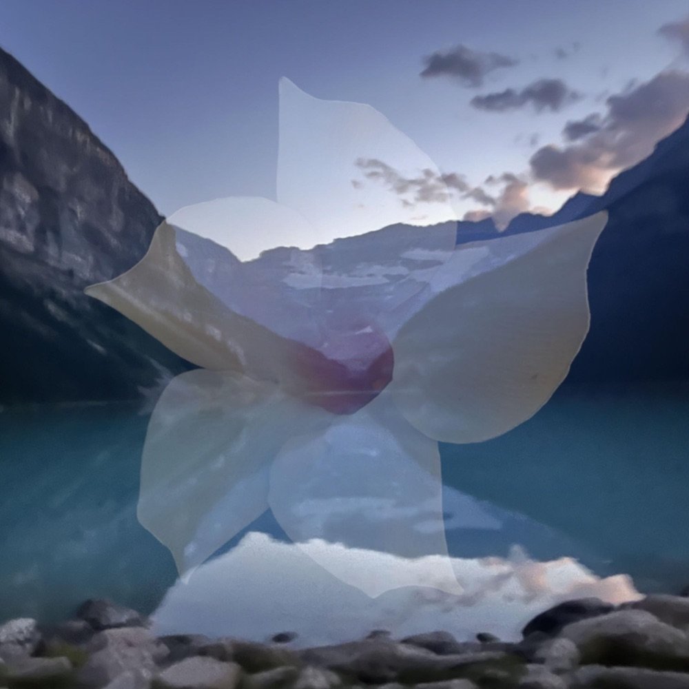 Dave Asher – Lean In - GRAUU